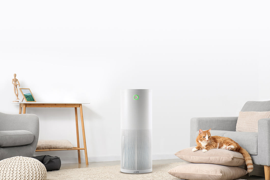 Jaspr Air Purifiers - The Ultimate Indoor Air Cleaning Machine